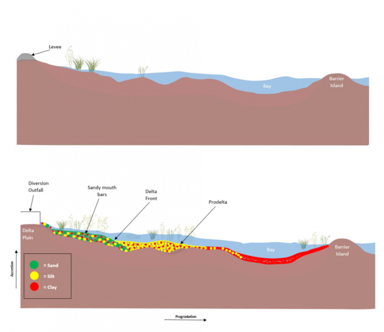 Anatomy of a Delta: The Foundation of New Land - Restore the ...