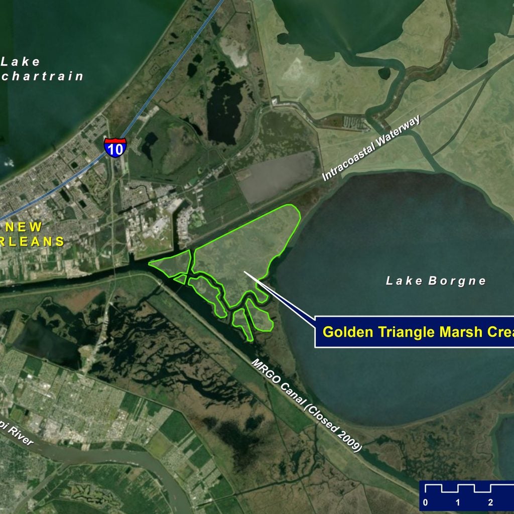 Golden Triangle Project Image - Restore the Mississippi River Delta