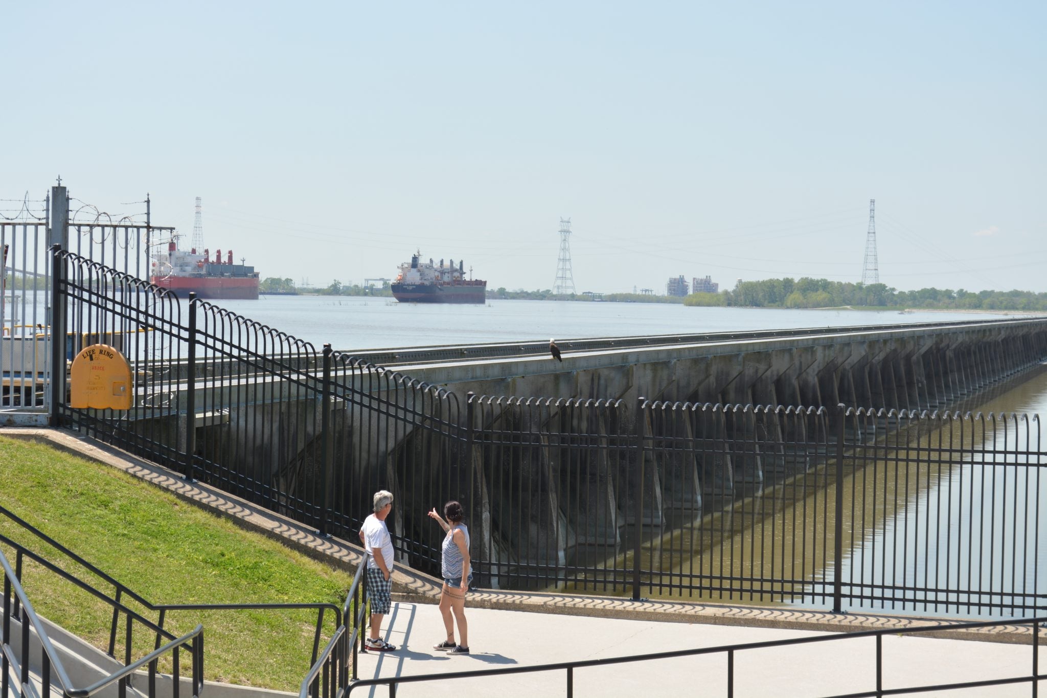 Bonnet Carre Spillway ground Jacques 2016 - Restore the Mississippi ...