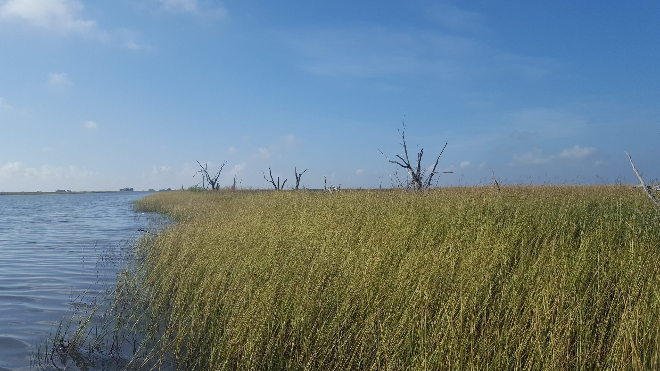 This Giant Lock Complex Could Help Restore Wetlands in the Bayou Region ...
