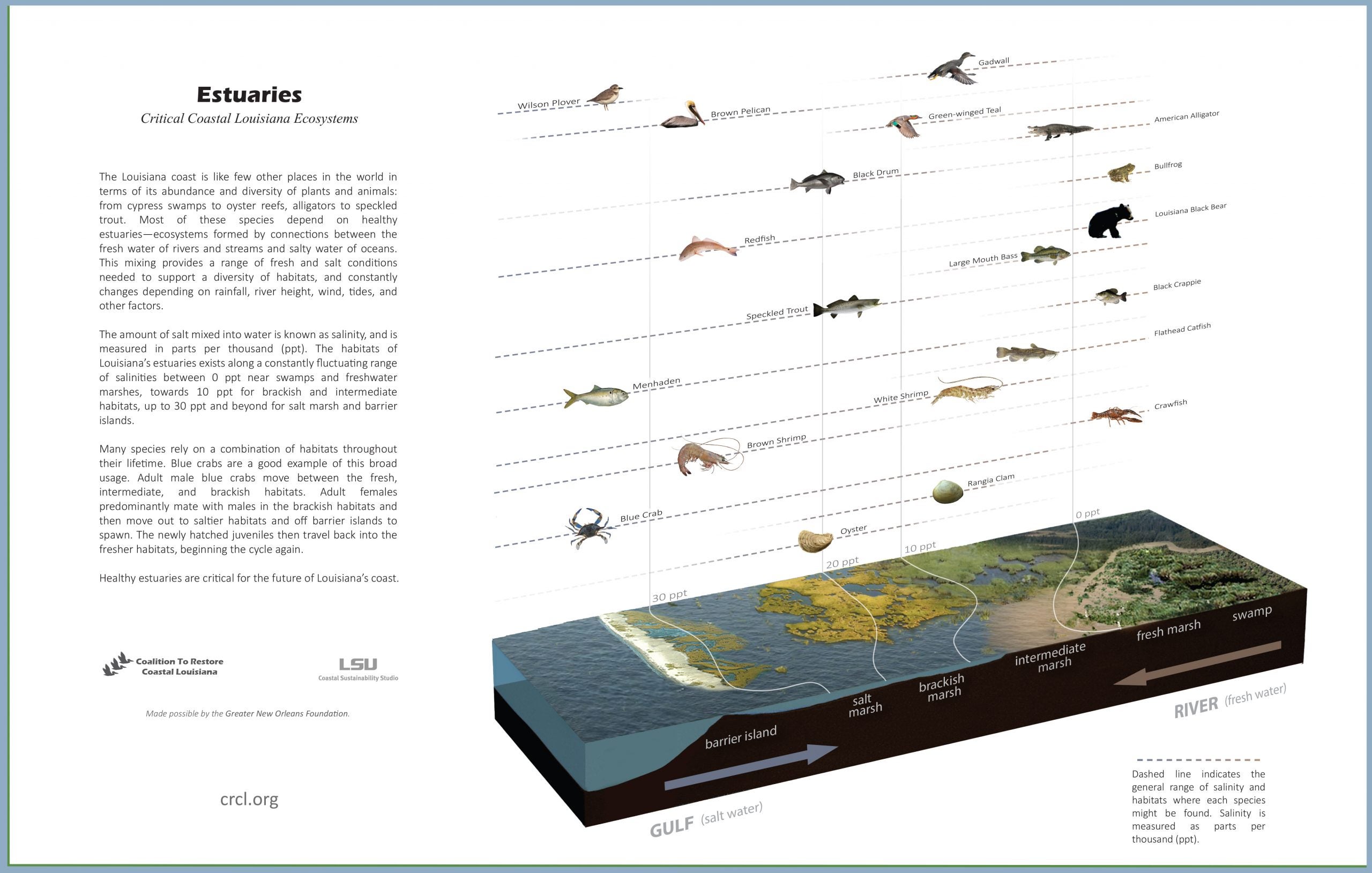 20160520_Estuary border - Restore the Mississippi River Delta