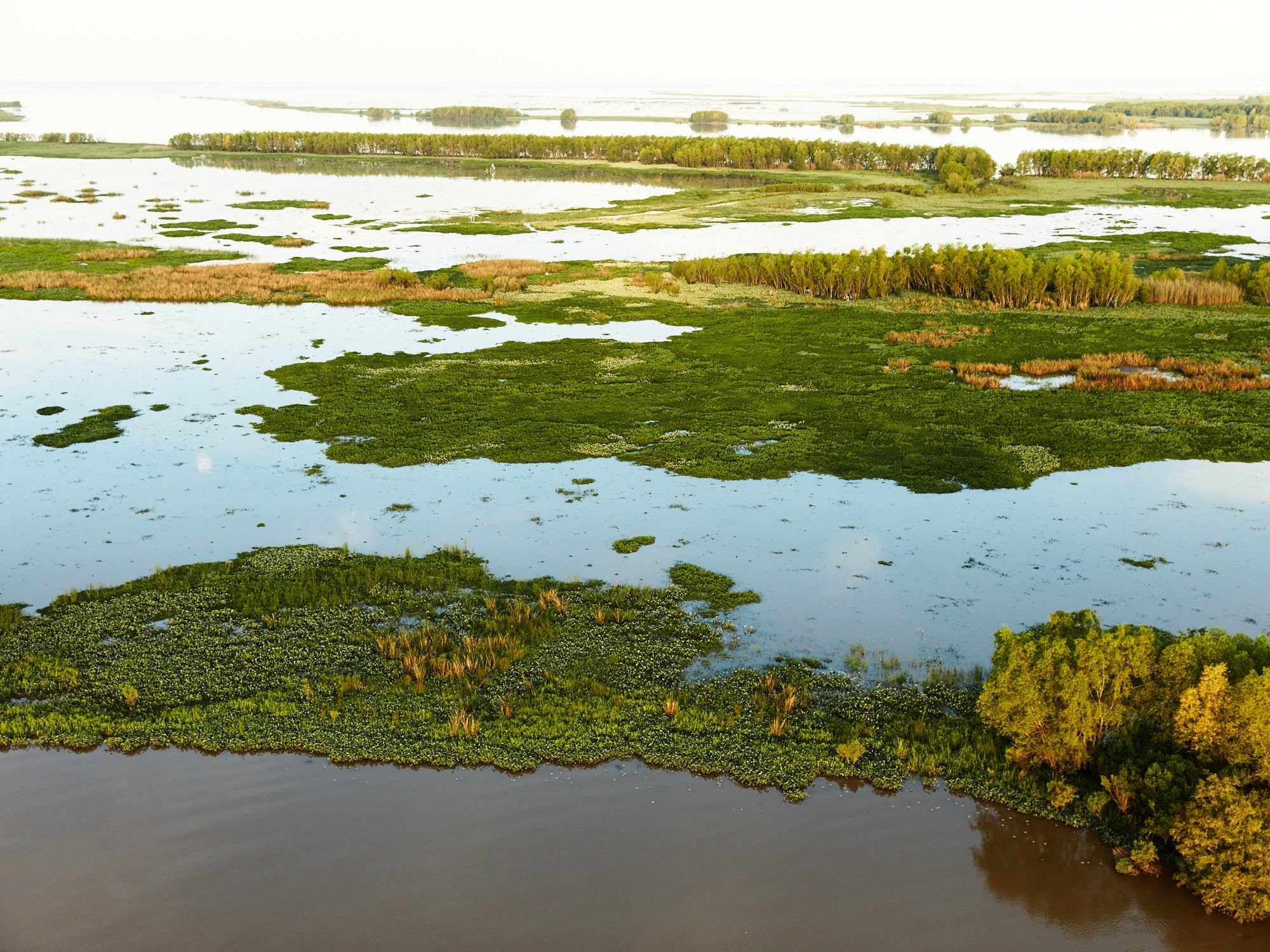 Coastal Protection and Restoration Fund | A Community Guide to Coastal ...