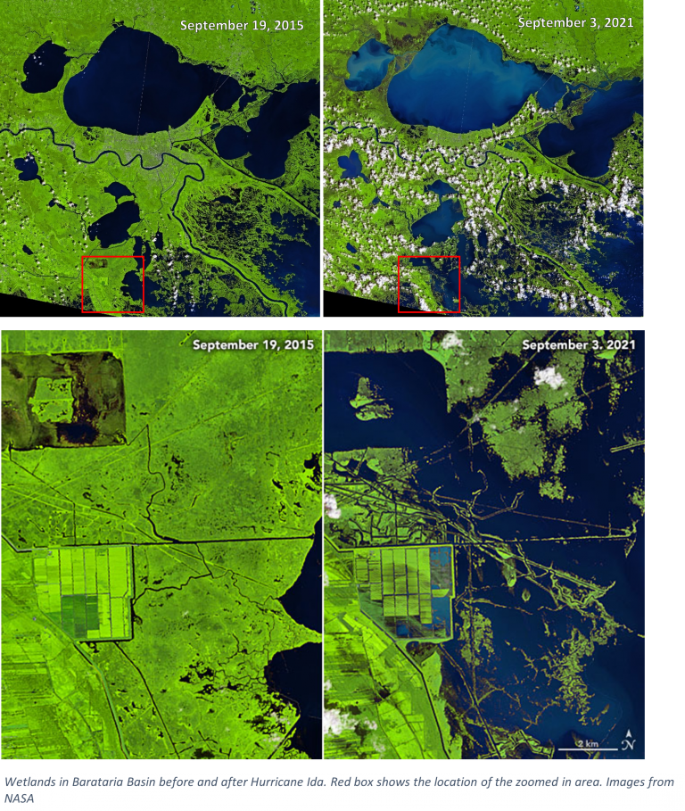 Hurricane Ida and Flotant Marsh: An Initial Look at the Storm's Impacts ...