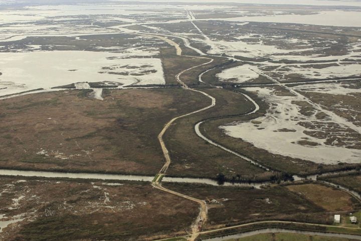 Large Scale Barataria Restoration | Priority Projects