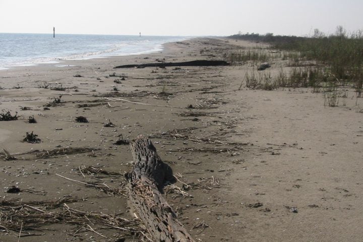 Barataria Pass to Sandy Point Restoration | Priority Project