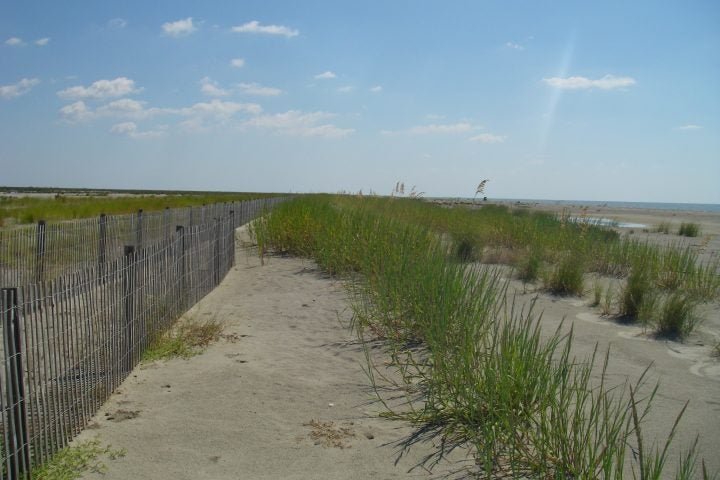 Barataria Pass to Sandy Point Restoration | Priority Project