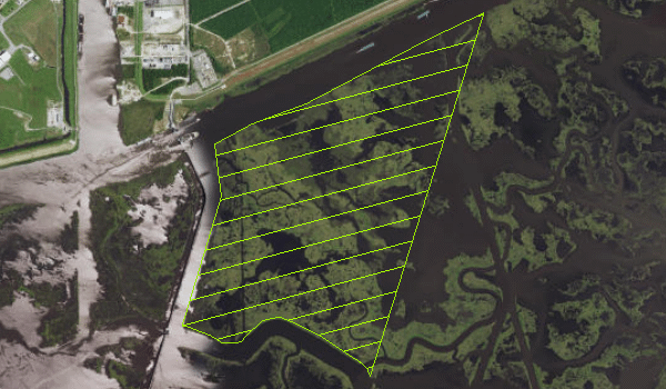 Golden Triangle - Restore the Mississippi River Delta