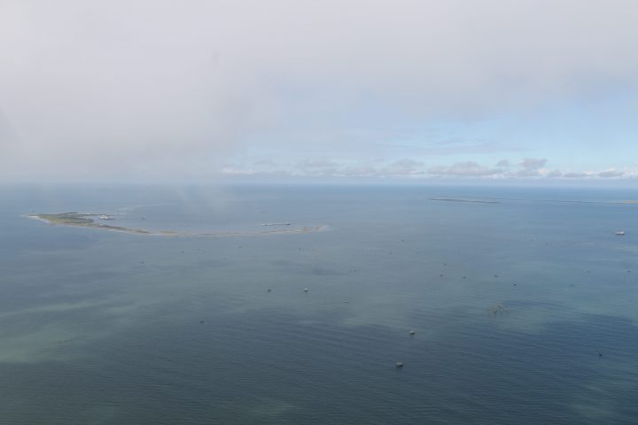 Timbalier Islands Restoration | Priority Project