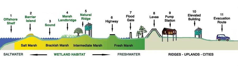 Have Questions About LA Restoration Solutions? Here's the Answers