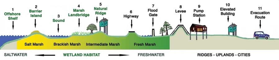 Do levees alone provide enough flood protection? No, they do not.