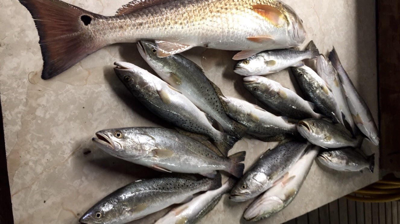 Have Questions About LA Restoration Solutions? Here's the Answers