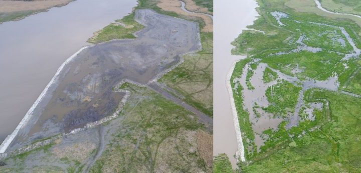 Freshwater Bayou North Marsh Creation | Priority Project