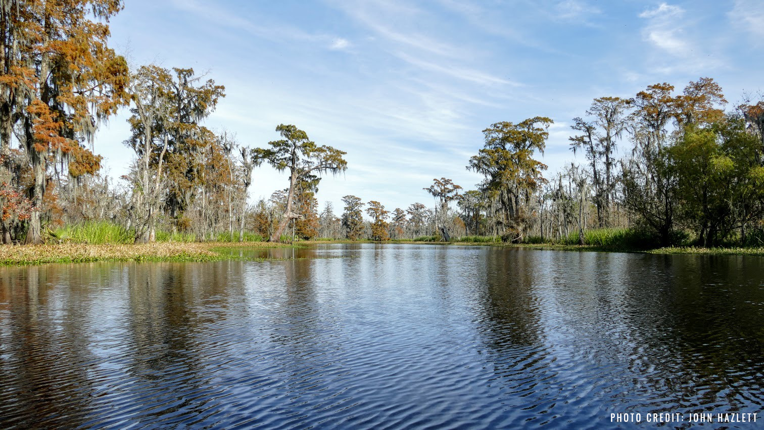 maurepas-swamp-credit-john-hazlett - Restore the Mississippi River Delta