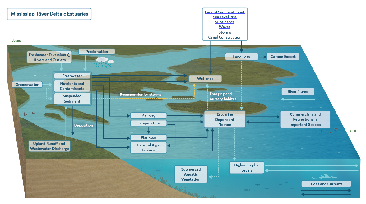River Delta Diagram