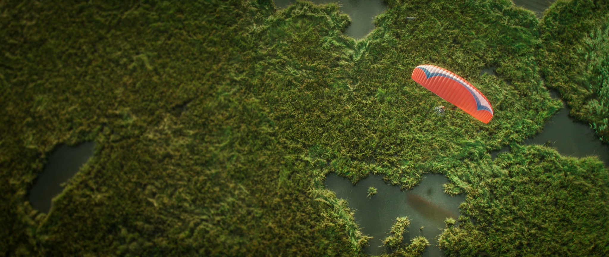 Stunning documentary Last Call for the Bayou now streaming for free