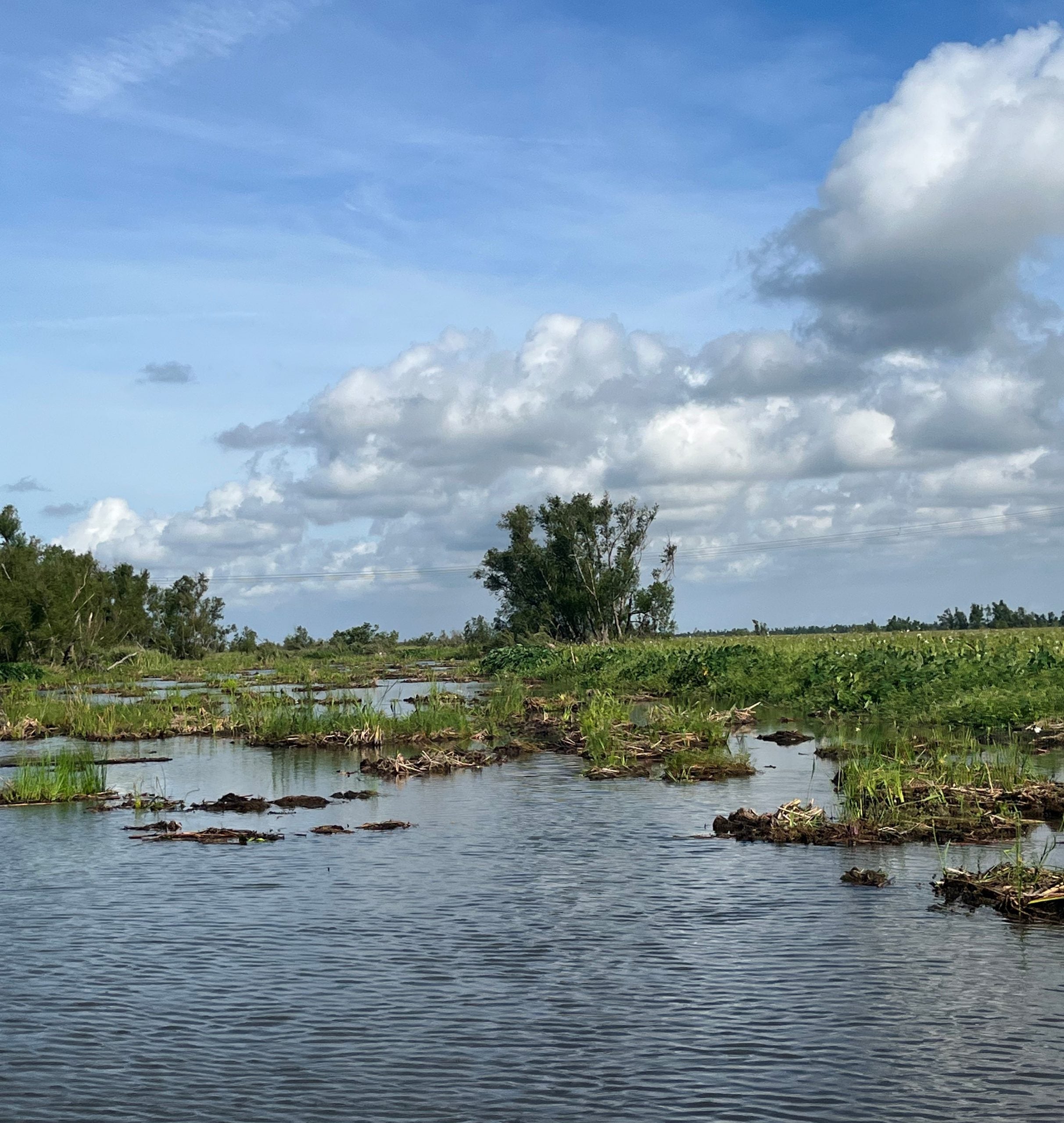 IMG_0028 - Restore the Mississippi River Delta