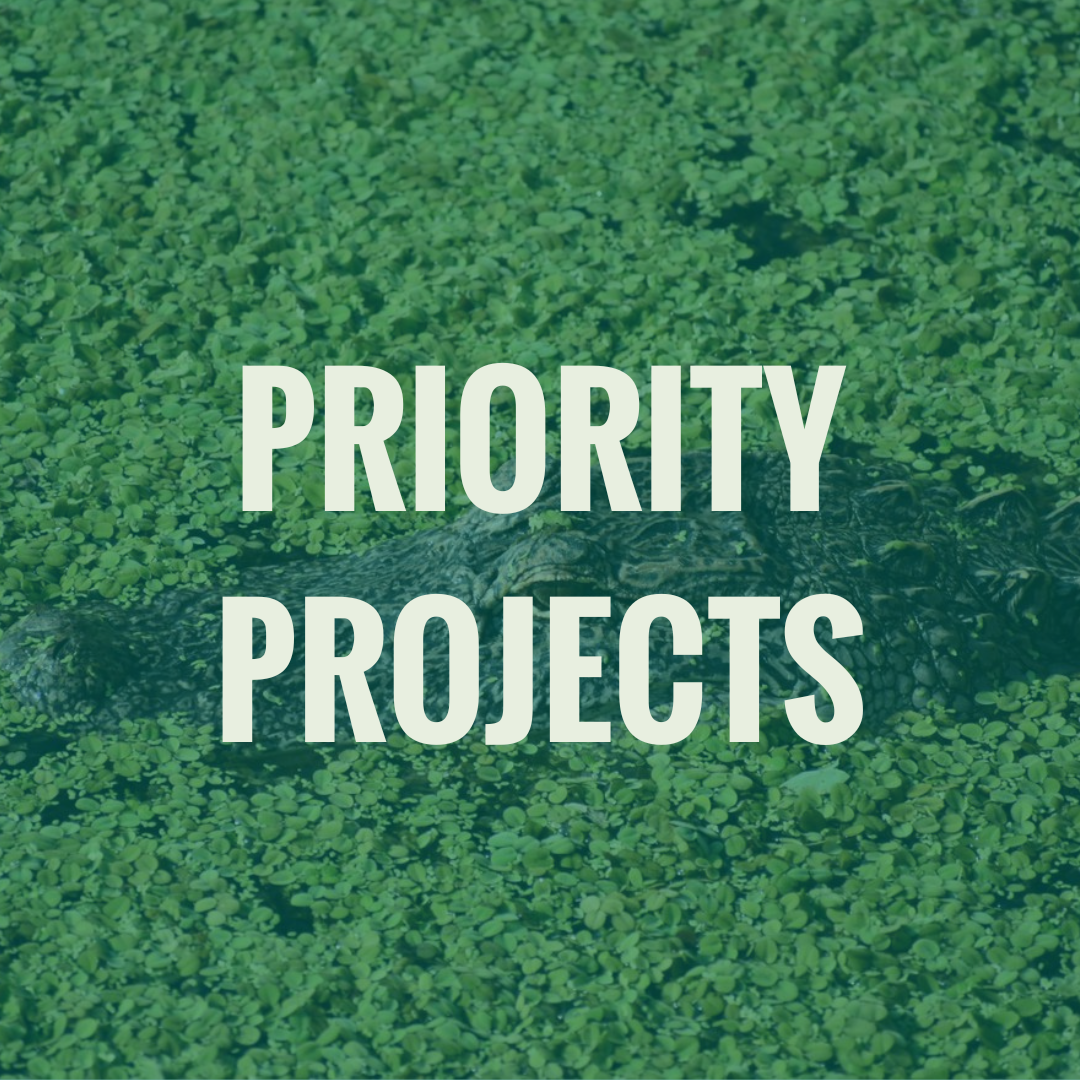 Mississippi River Delta Sign-Up - Restore the Mississippi River Delta