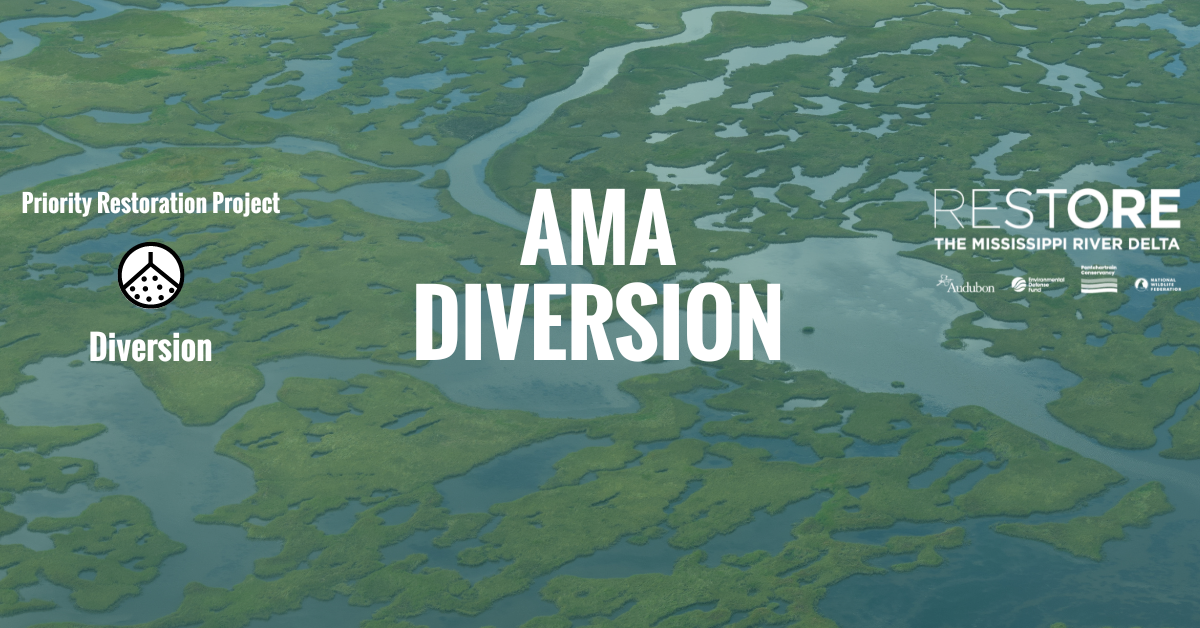 Ama Diversion | 2023 Coastal Master Plan Project | Coastal Restoration