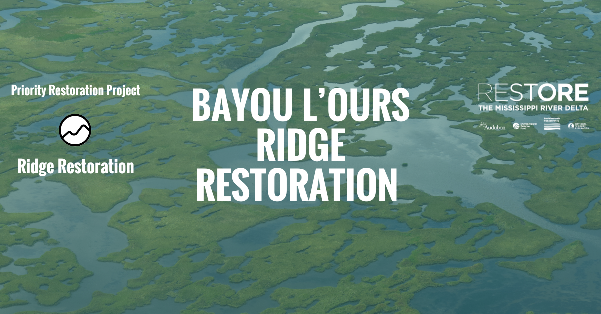 Bayou L’Ours Ridge Restoration | Coastal Restoration Project