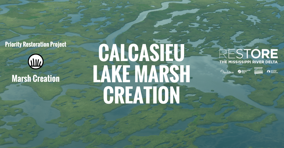 Calcasieu Lake Marsh Creation | 2023 Coastal Master Plan | Coastal Restoration Project