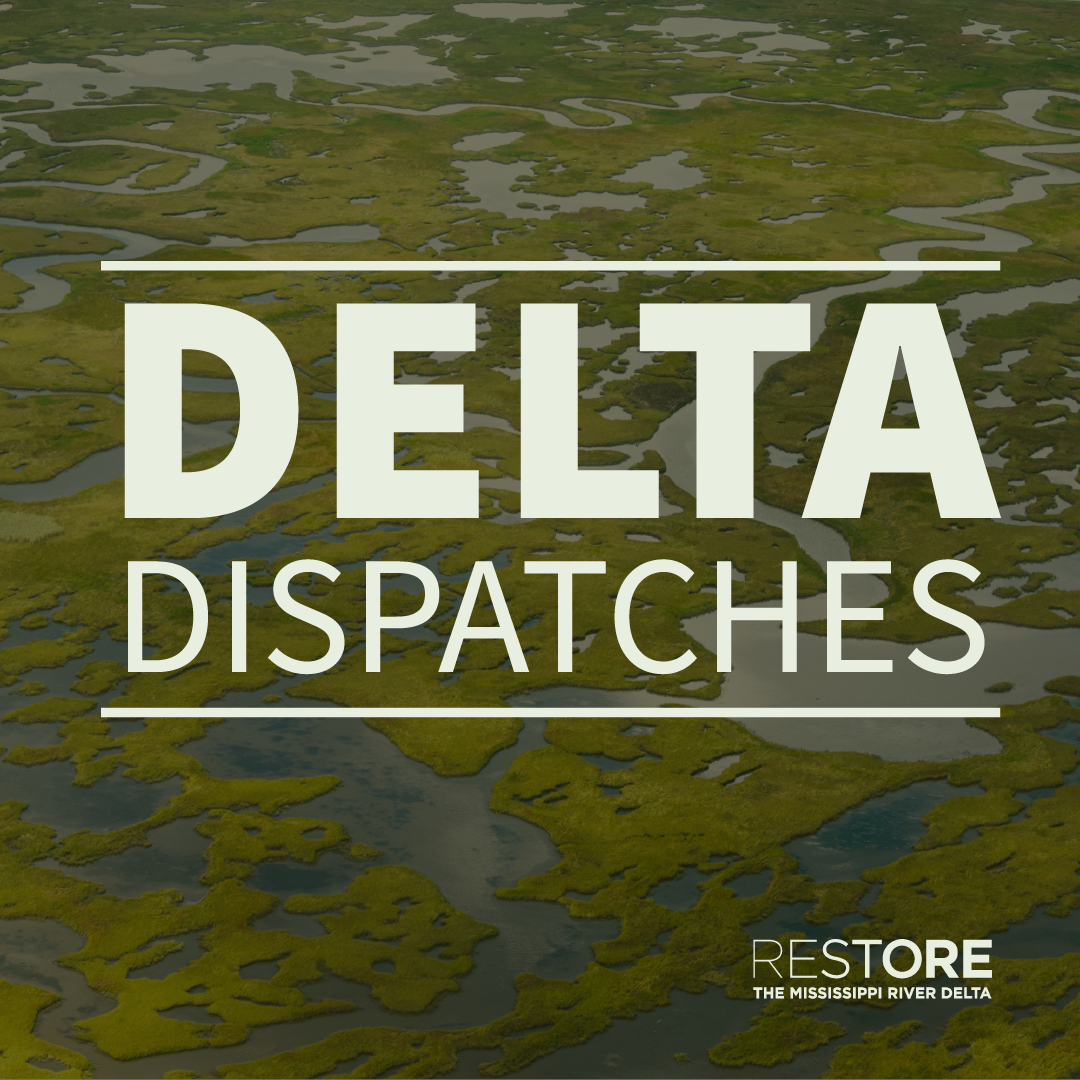Delta Dispatches: Back to the Bayou - Restore the Mississippi River Delta