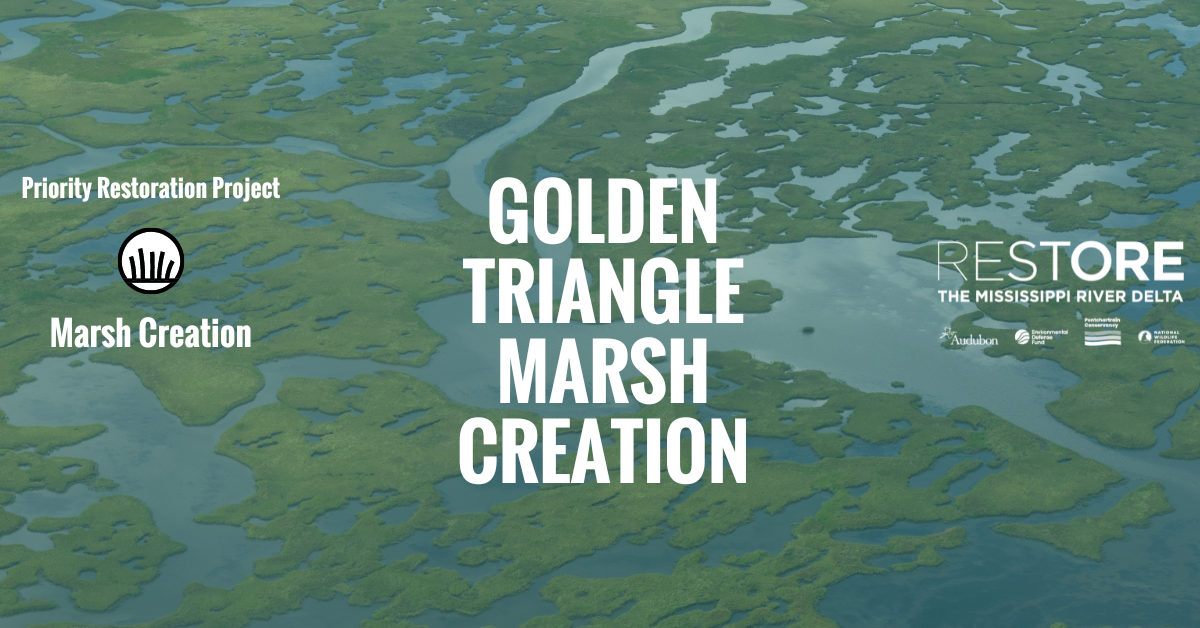 Golden Triangle Marsh Creation | Coastal Restoration Project