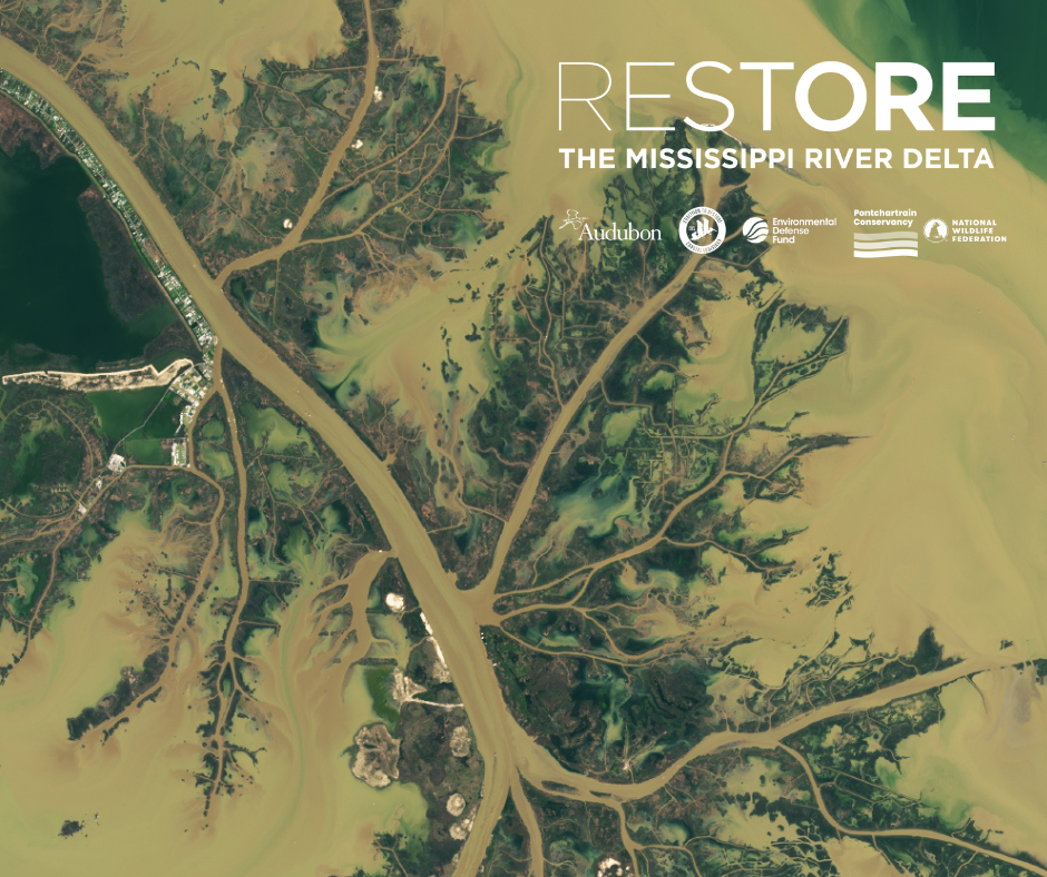 Louisiana’s Coastal Program is at Risk: Proposed Changes to CPRA's ...