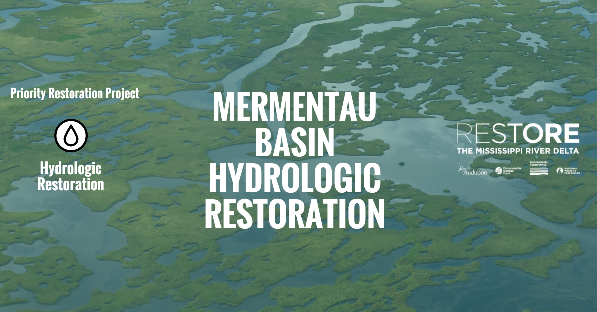 Mermentau Basin Hydrologic Restoration | Coastal Restoration Project
