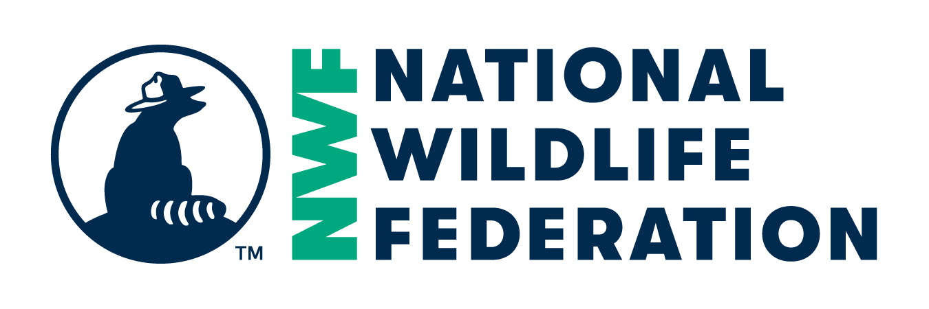 View From Above: Neptune Pass - Restore the Mississippi River Delta