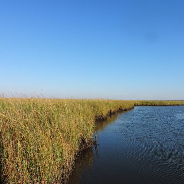 Three Mile Pass Marsh Creation and Hydrologic Restoration | Coastal ...