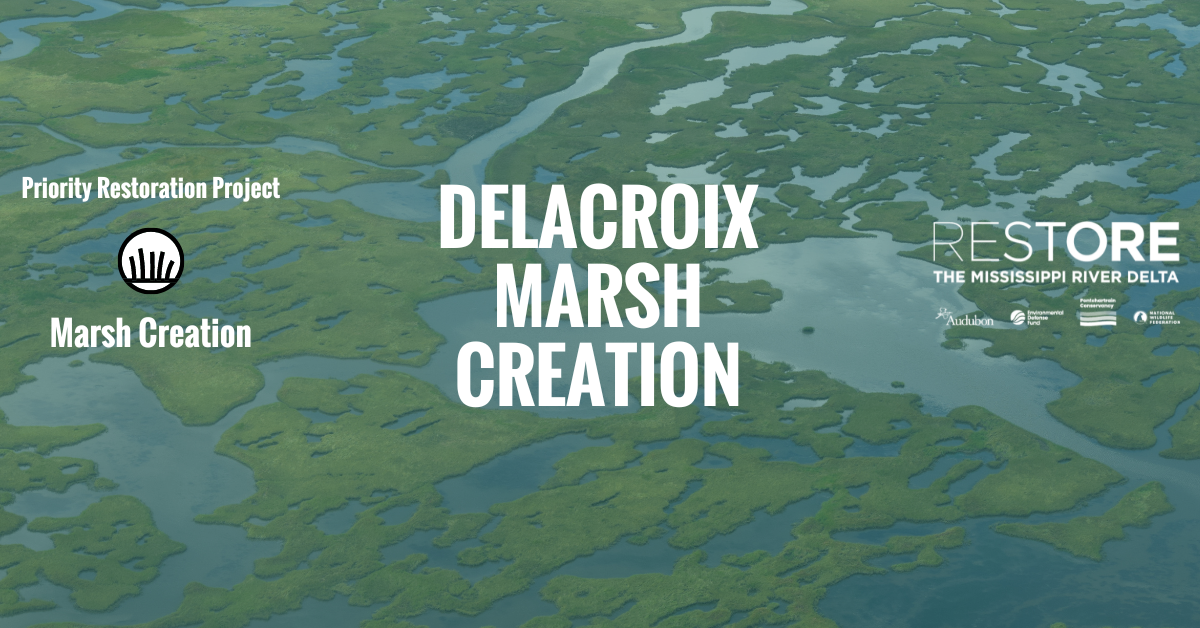 Delacroix Marsh Creation | Coastal Restoration Project